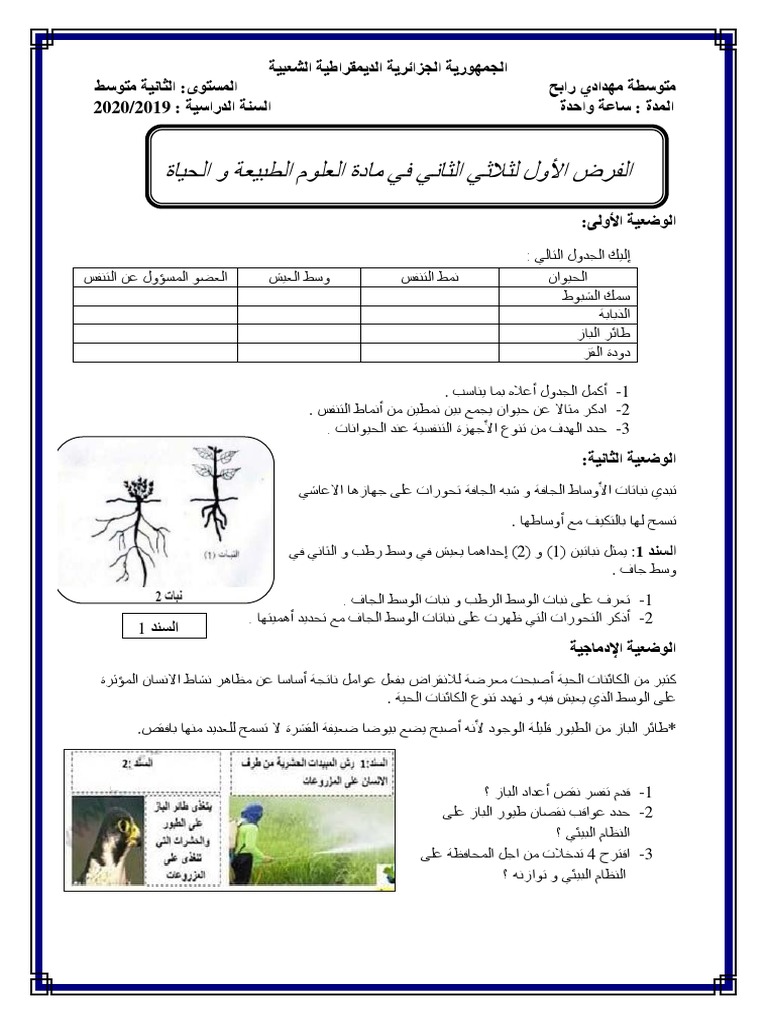 Dzexams 2am Sciences d2 20200 149818 | PDF