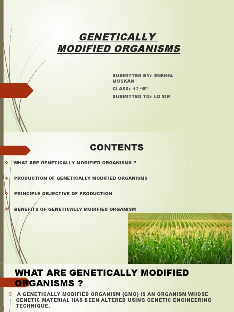 Genetically Modified Organisms: Submitted By:-Snehal Muskan CLASS: - 12 ...