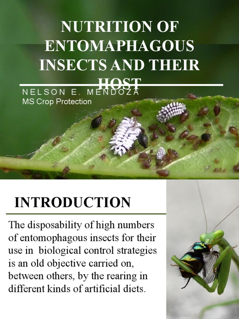Nutrition of Entomaphagous Insects and Their Host | PDF | Science ...