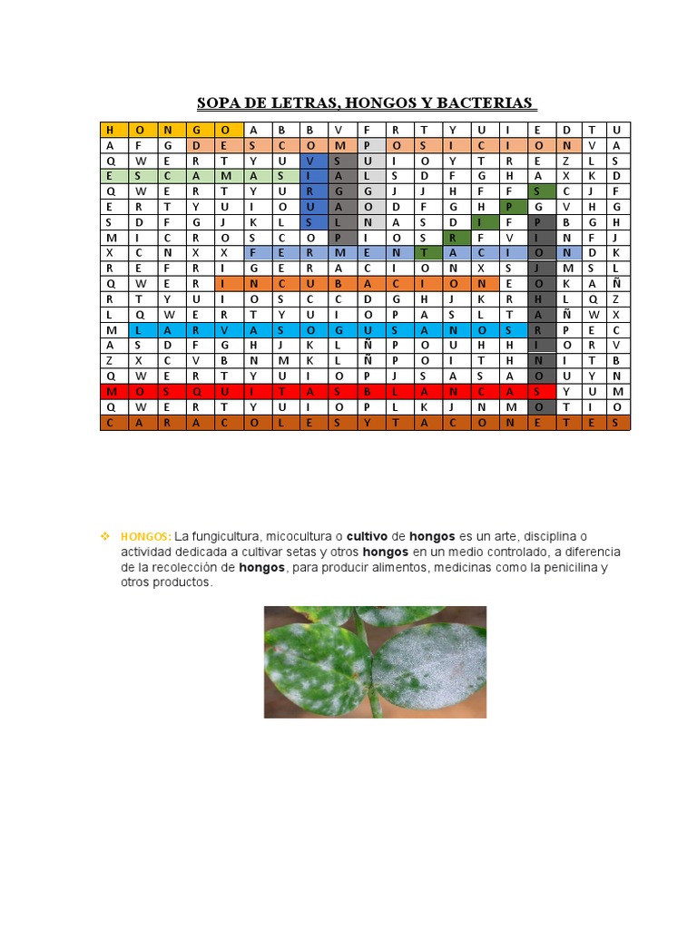 Sopa de Letras Hongos y Bacterias | PDF | Plaga (organismo) | Agricultura