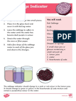 Natural pH Indicator Recipes Guide | PDF | Water | Berry