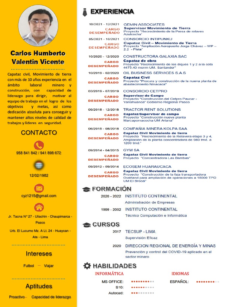 CV - Carlos 2021 Final | PDF
