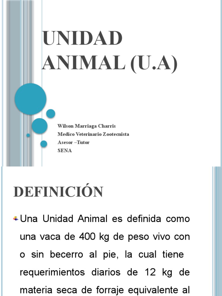 Unidad Animal | PDF | Vacas