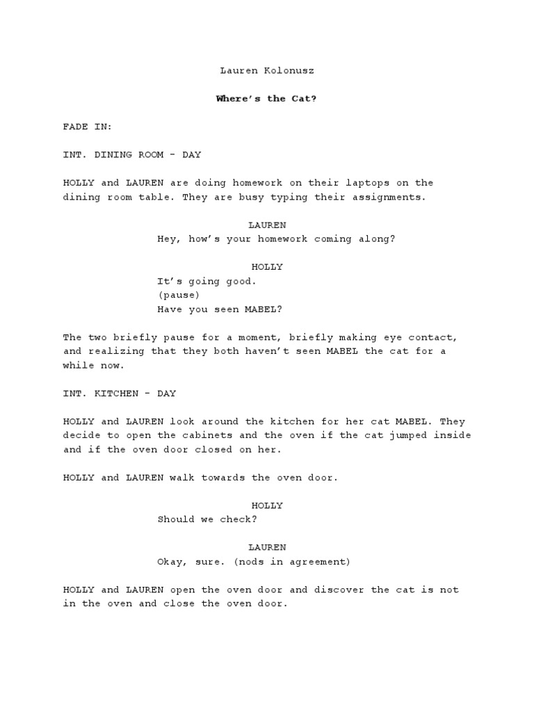 Lost Cat Search Comedy Script | PDF