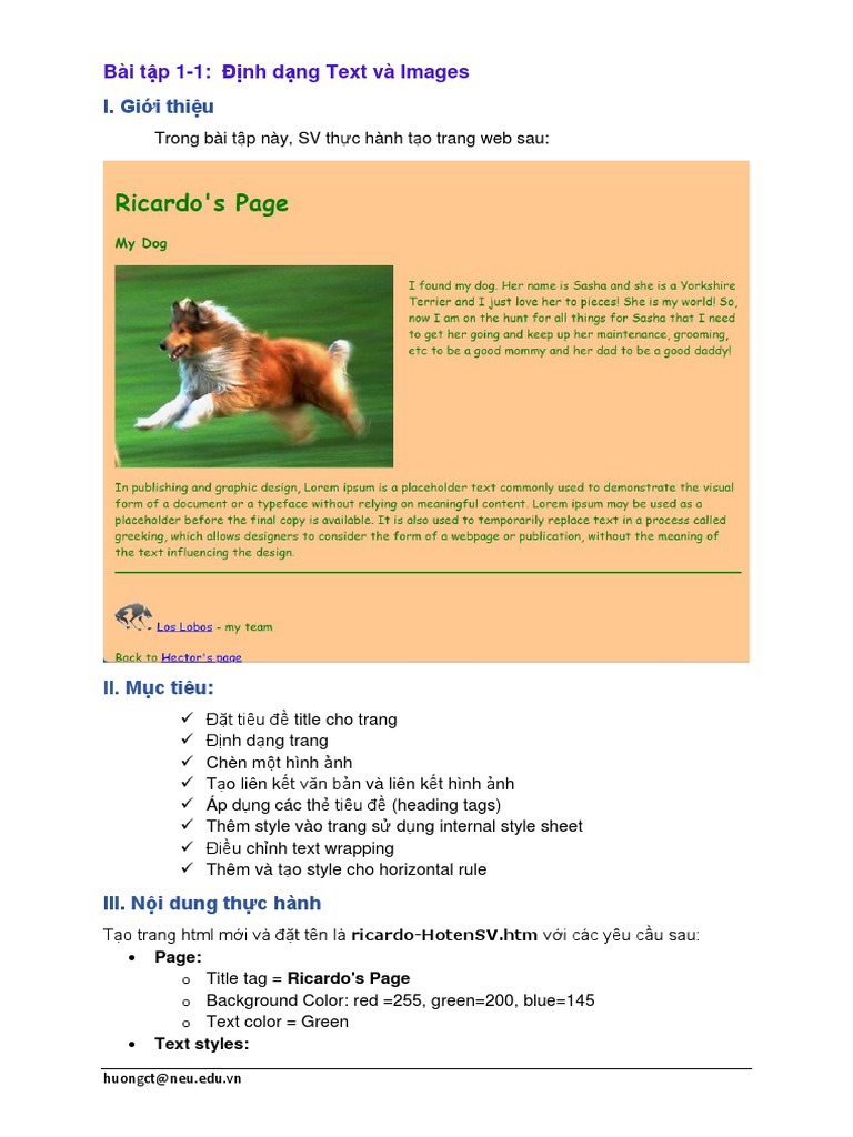 Bai Tap HTML Và CSS 1-1 | PDF