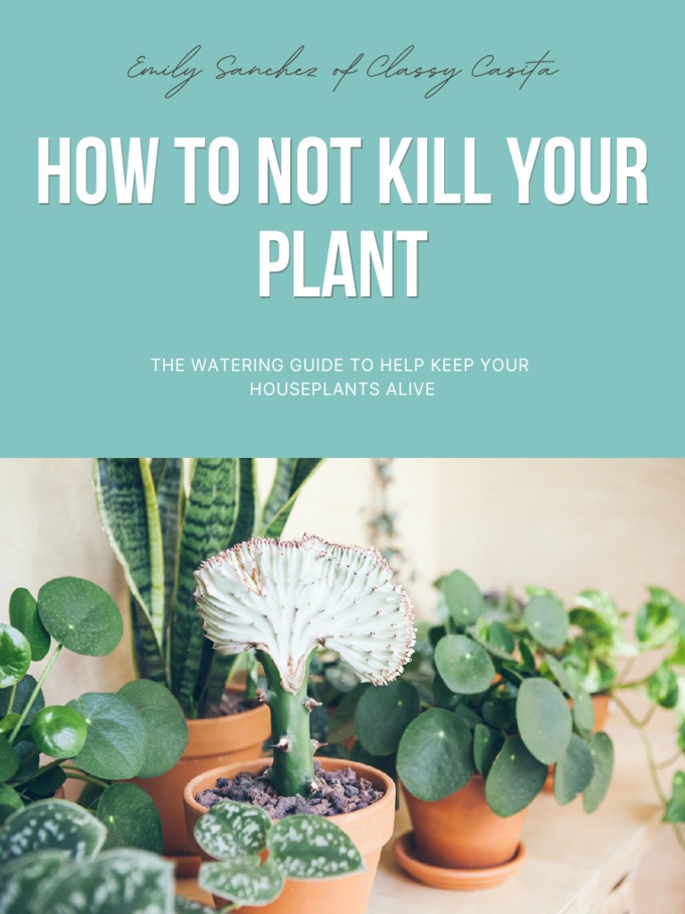 eBook-HOW TO NOT KILL YOUR PLANT | PDF | Houseplant | Botany