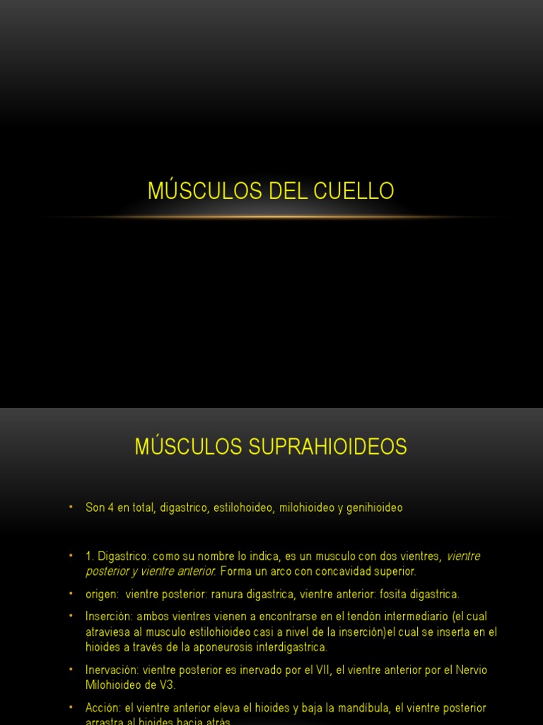Anatomía de los Músculos del Cuello | PDF | Sistema esquelético | Anatomía