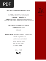 En Qué Consiste El MAPA y AMPA | PDF | Hipertensión | Presión sanguínea