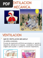 Triada de Cushing y su Fisiopatología | PDF | Hipertensión | Anatomía ...