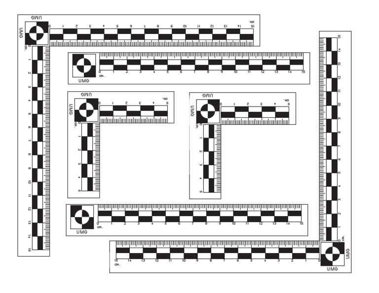 Testigo Metrico UMG | PDF