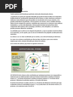Dimensiones y curiosidades atómicas | PDF | Protón | Núcleo atómico