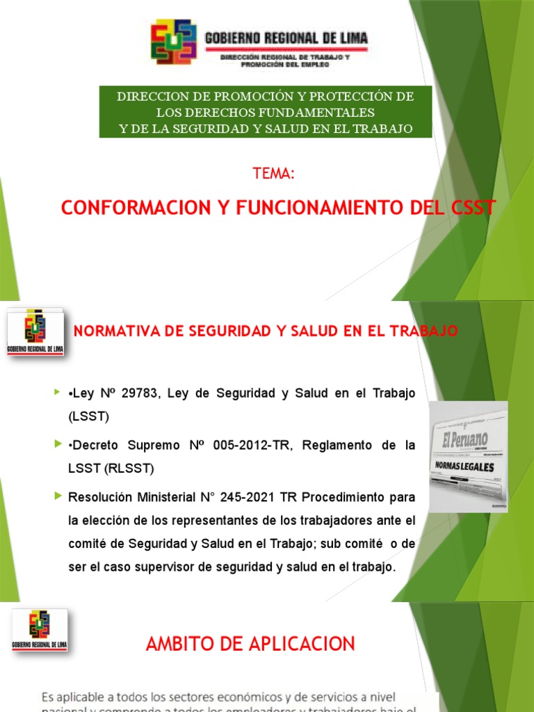 Comite de Seguridad y Salud en El Trabajo | PDF | Ciencias de la Salud