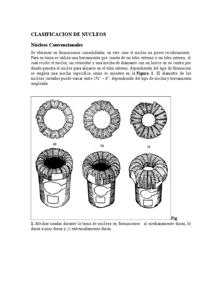 Nucleos y Su Clasificacion | PDF | Petróleo | Presión