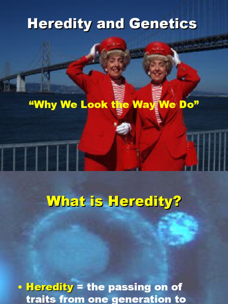 Heredity and Genetics PowerPoint | PDF