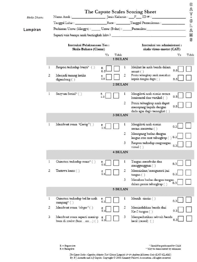 Scale Cat - Clams 14 17 | PDF