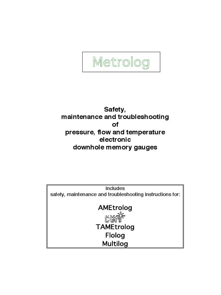 Metrolog: Safety, Maintenance and Troubleshooting of Pressure, Flow and ...