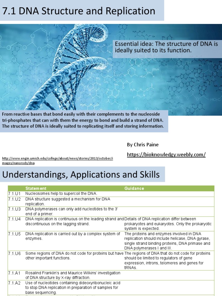 Biok - 7.1 - DNA - Structure - and Replication - AHL | PDF | Dna ...