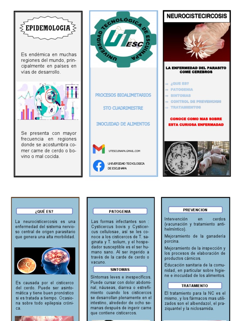 Inocuidad de Alimentos - Triptico.cistecirsosis | PDF | Salud pública ...