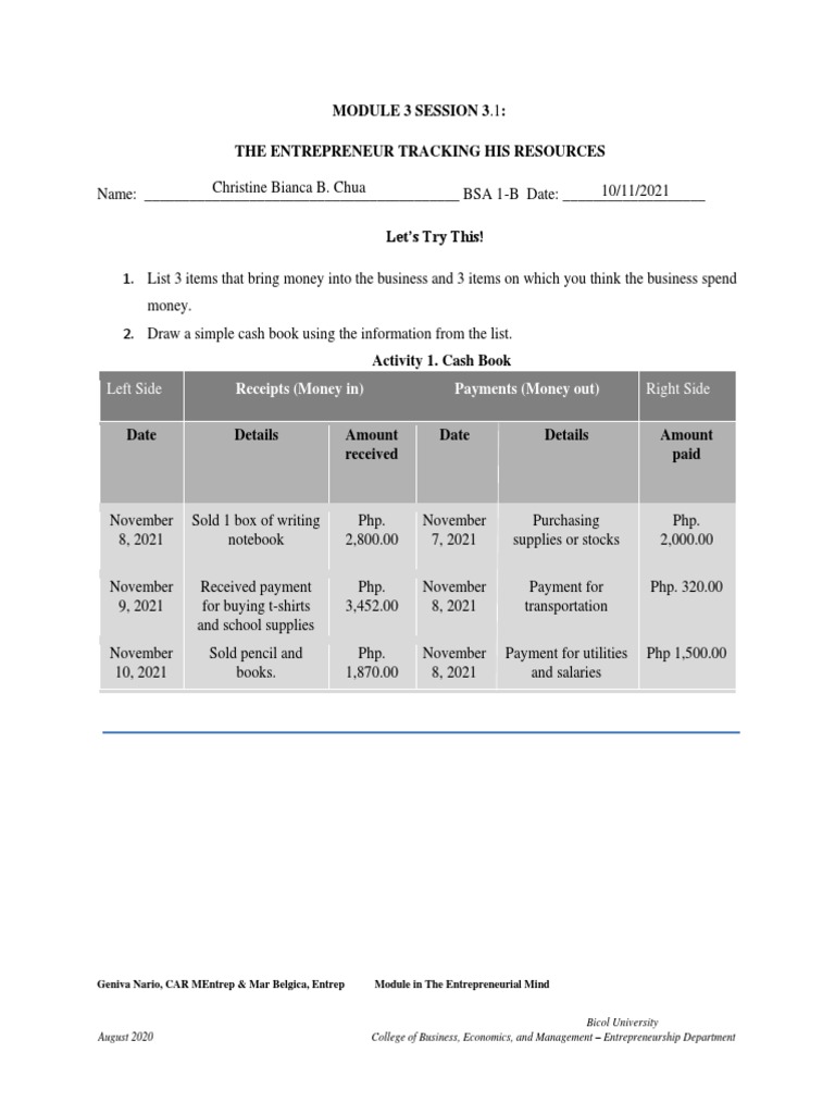 Christine Bianca Chua - Module 3 Session 3.1 - The-Entrepreneur ...