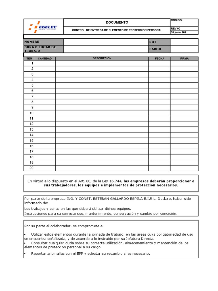 Control Entrega EPP | PDF