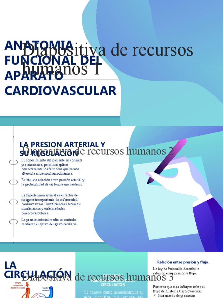 Anatomia Funcional Del Aparato Cardiovascular Tema 2 | PDF | Corazón ...