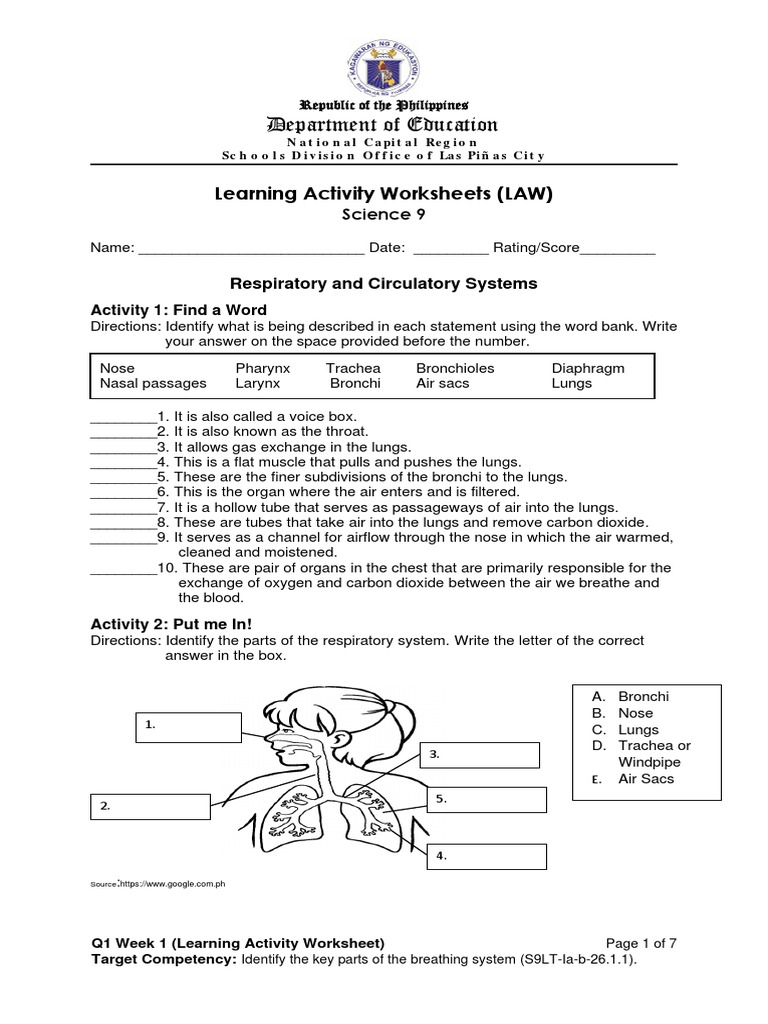 Learning Activity Worksheet Science 9 Q1 Weeks 1 2 | PDF | Atrium ...