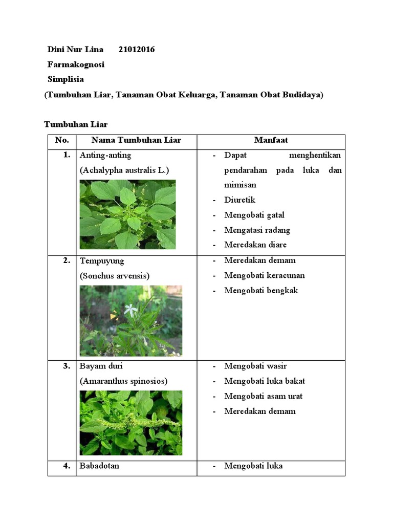 Farmakognosi - Simplisia (Tanaman Dan Tumbuhan Obat) - Dikonversi | PDF ...