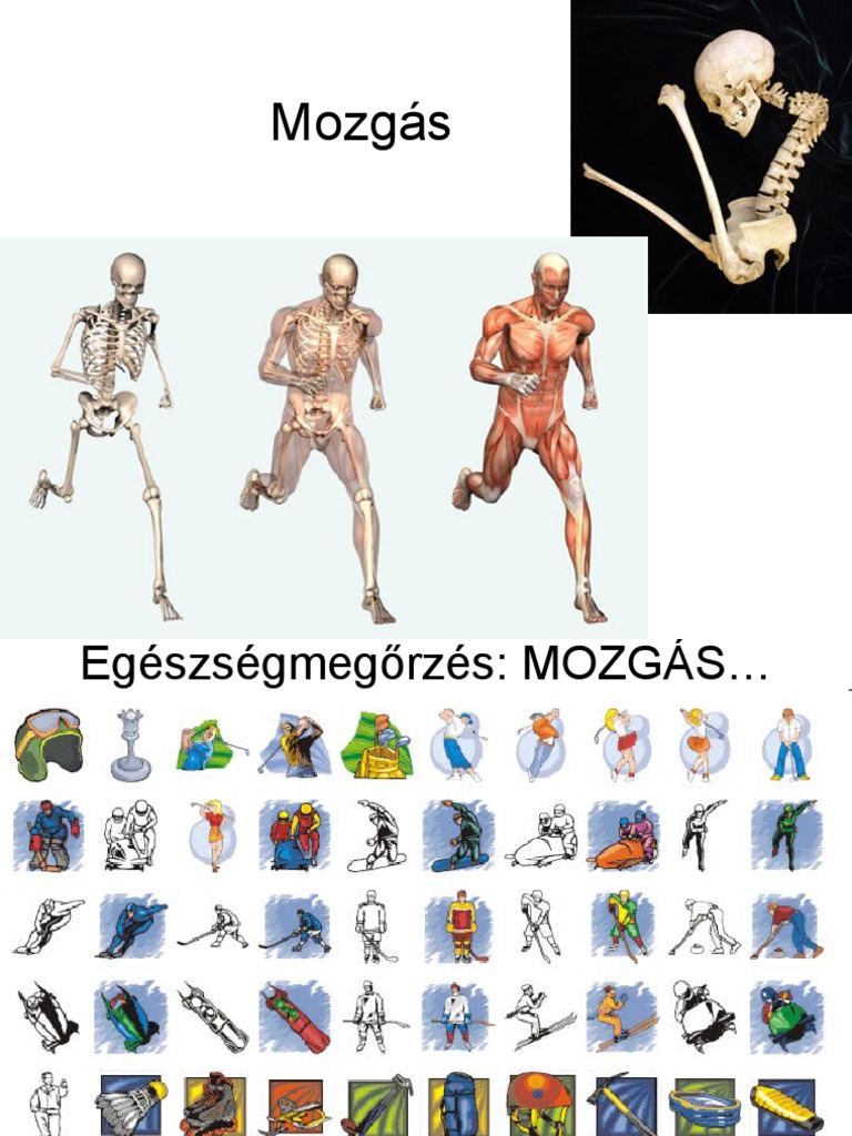 Mozgás | PDF