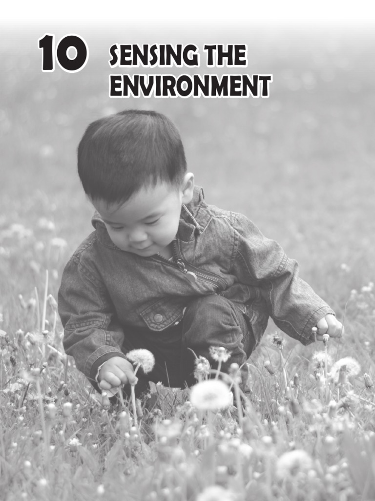 F2 Science Sensing The Environment | PDF | Senses | Taste