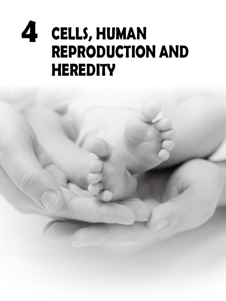 Cells, Human Reproduction and Heredity | PDF | Reproductive System ...