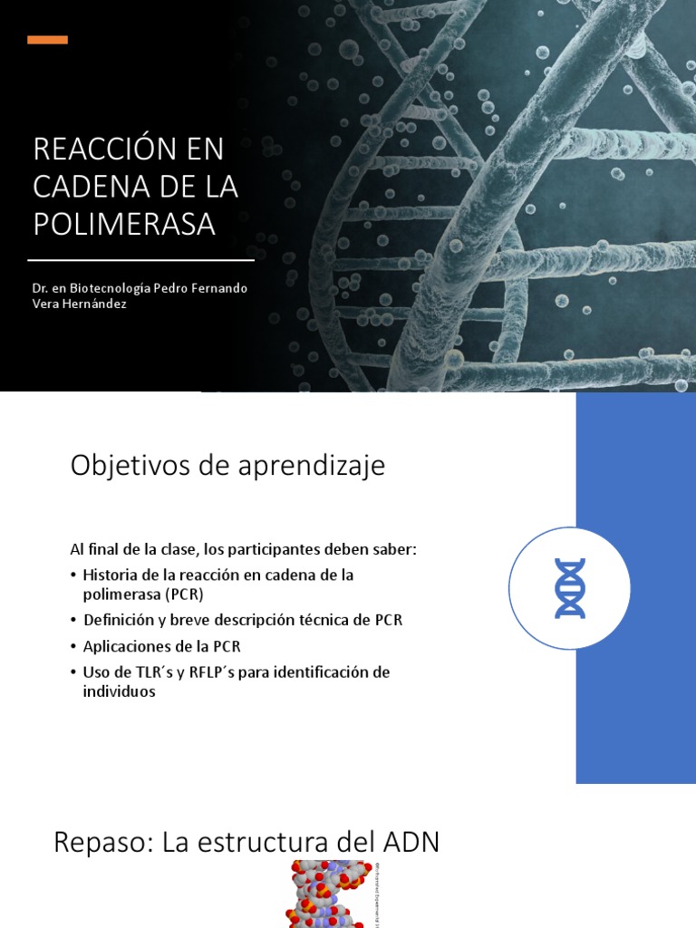 Reccion en Cadena de La Polimerasa | PDF | Reacción en cadena de la ...