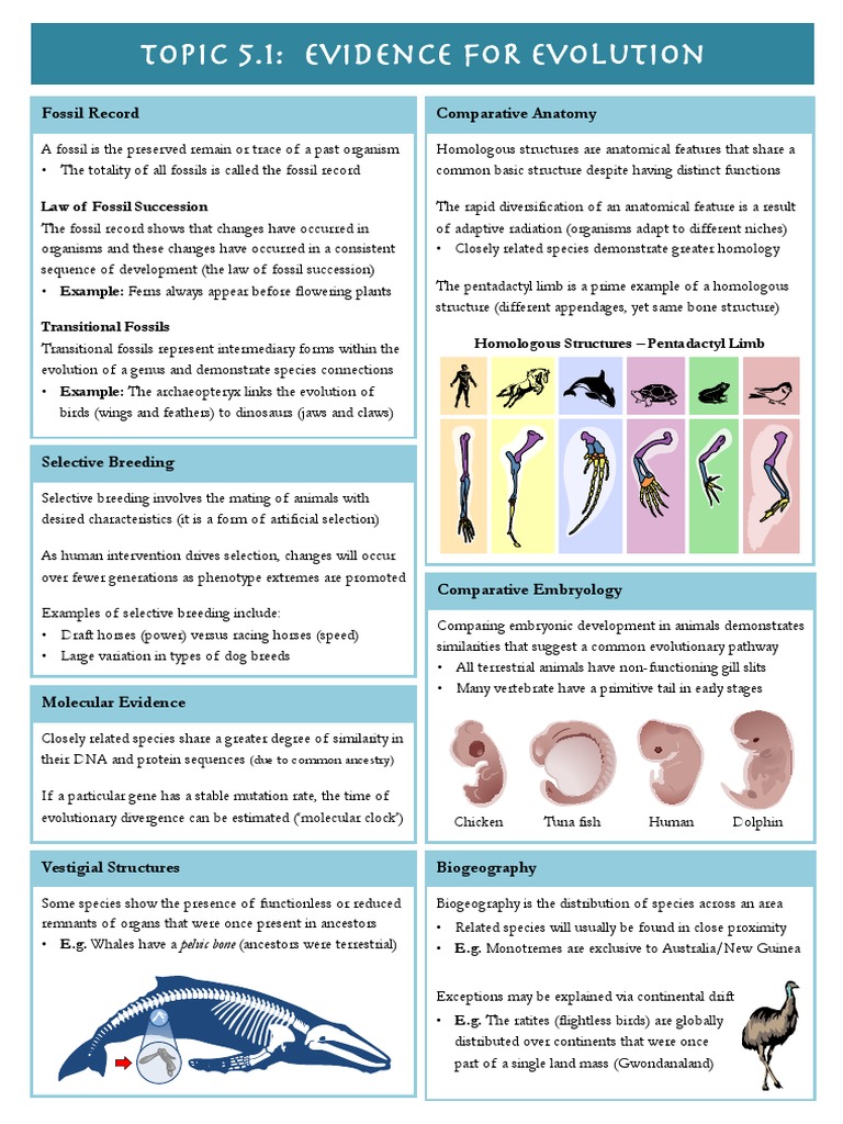 5.1 Evidence For Evolution | PDF