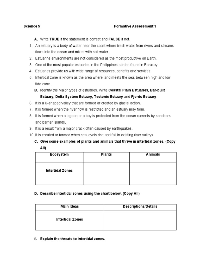 Formative Assessment 1 | PDF