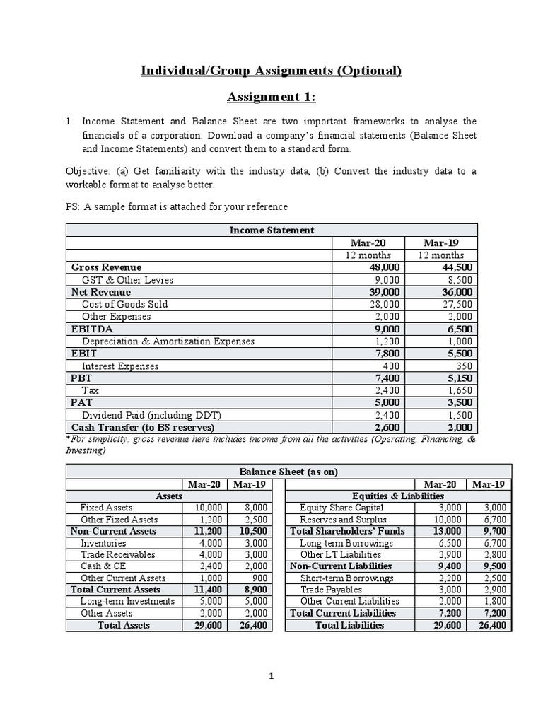 Individual/Group Assignments (Optional) Assignment 1 | PDF | Balance ...