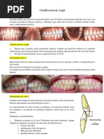 Relación Dental: Clases de Angle y Andrews | PDF | Anatomia dental | Diente