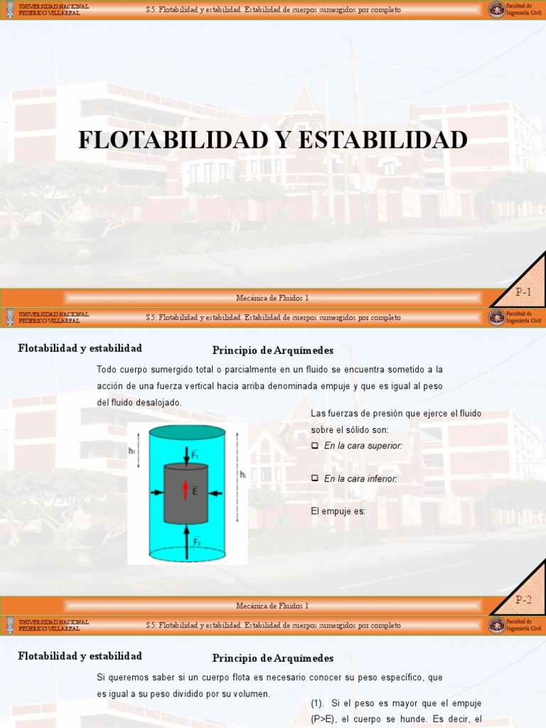 Flotabilidad y Estabilidad en Fluidos | PDF | Física Aplicada e ...