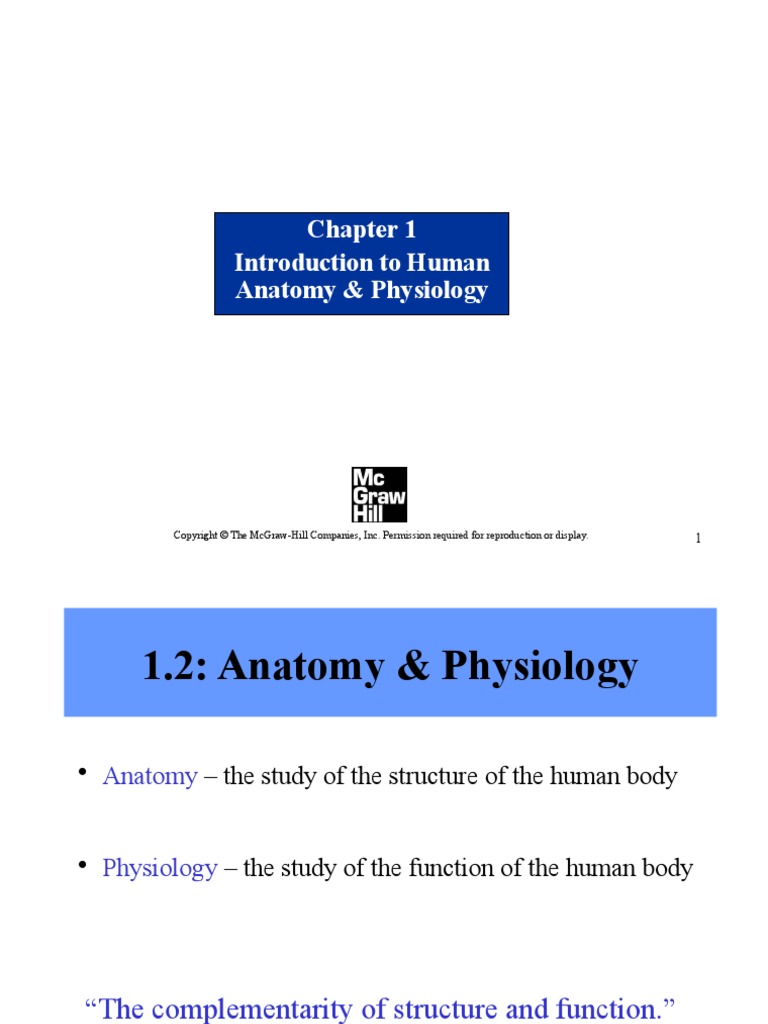 Introduction To Human Anatomy & Physiology | PDF | Human Body ...