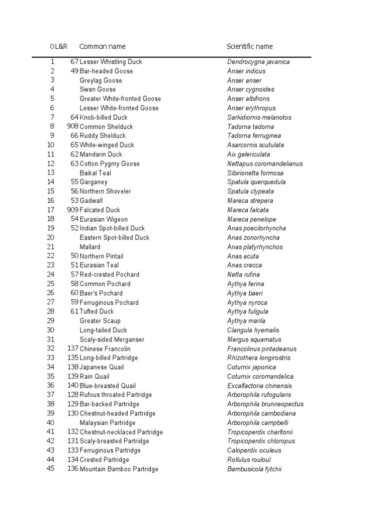 Bird Species List with Scientific Names | PDF | Eagle | Ornithology