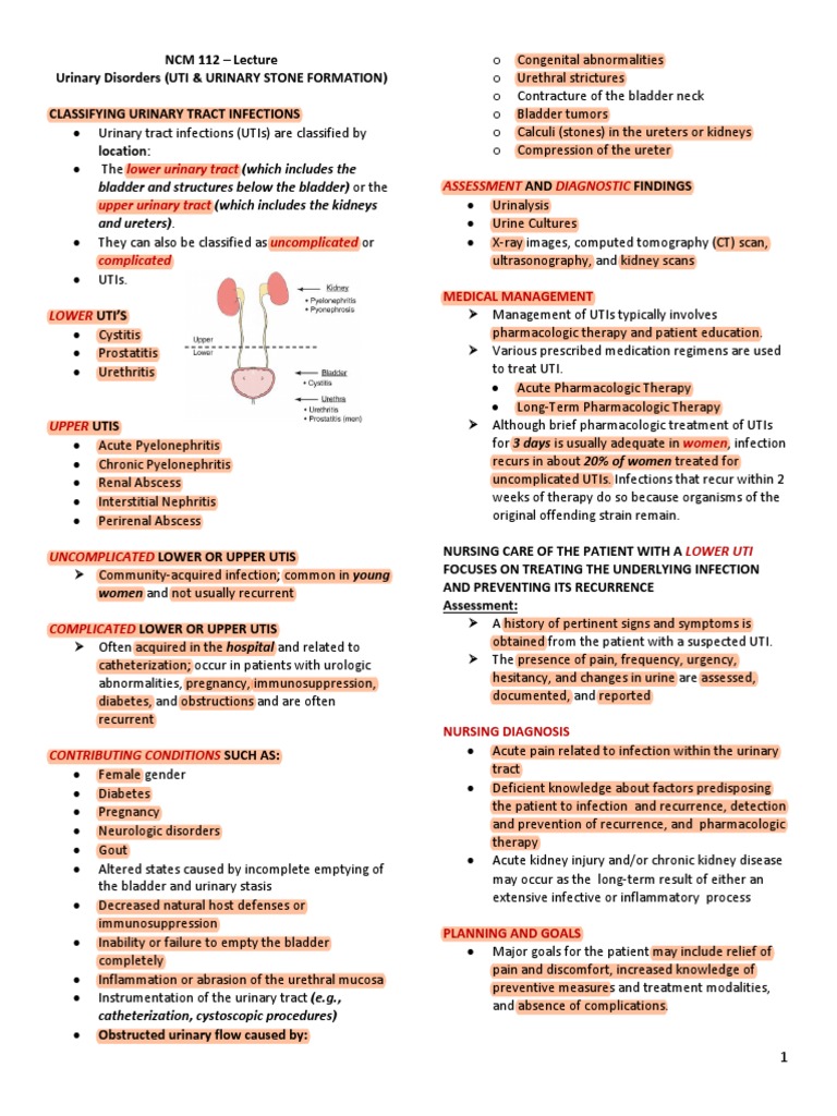 Notes On Urinary Disorders | PDF | Urinary Tract Infection | Medicine
