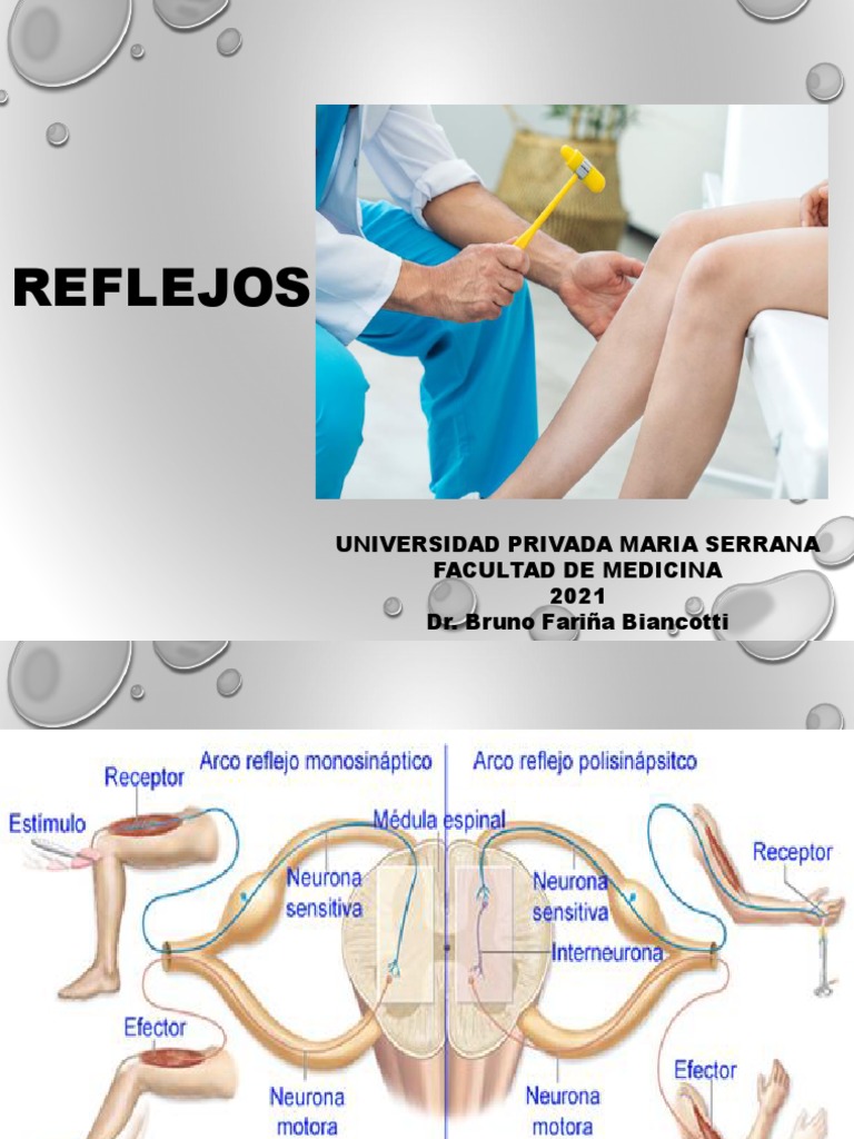 Semiologia de Los Reflejos | PDF