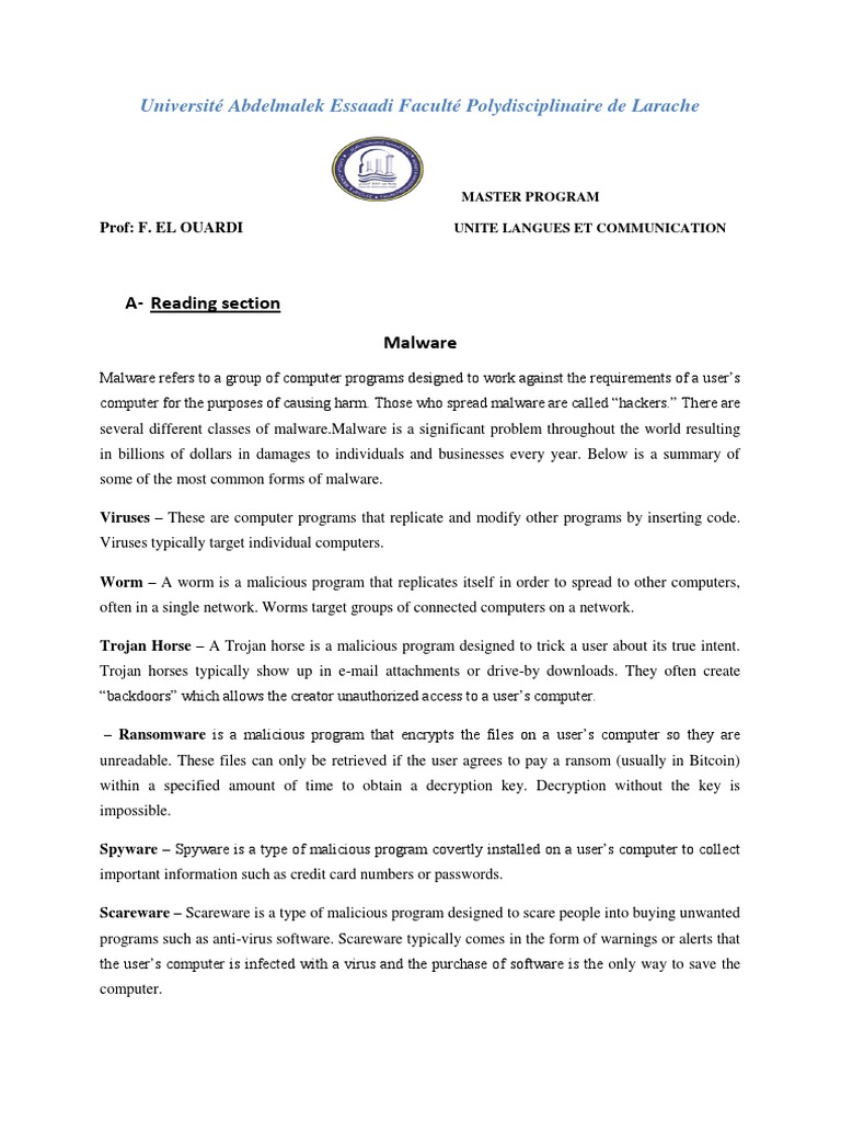 Unit 5 Computer Science | PDF | Malware | Computer Virus