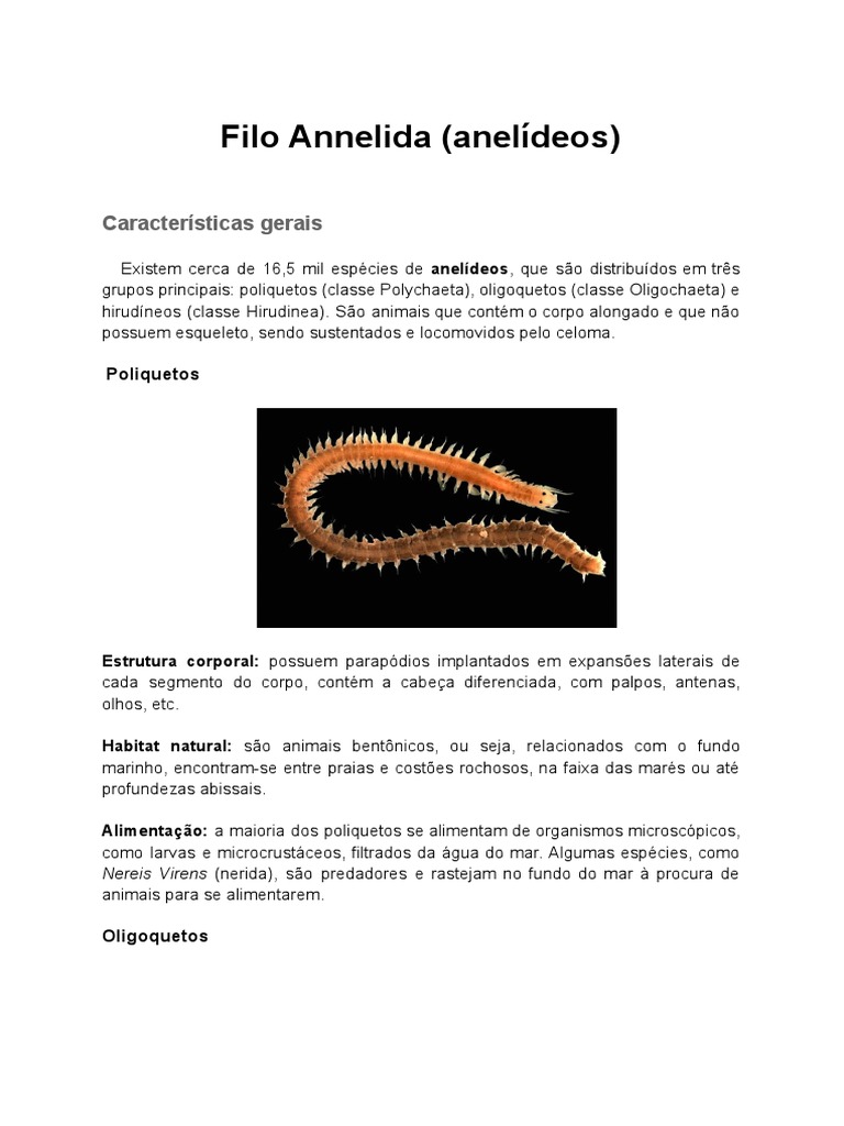 Biologia - Filo Annelida (Anelídeos) | PDF | Reprodução | Organismos
