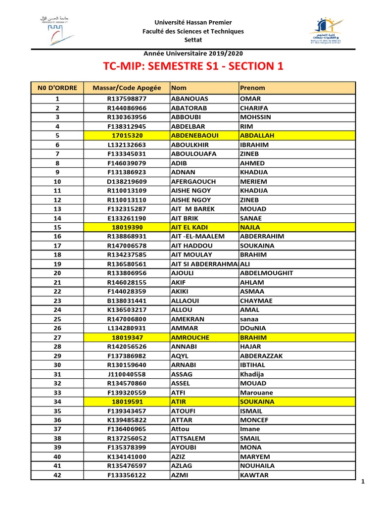 Mip - S1 Sect 1 | PDF