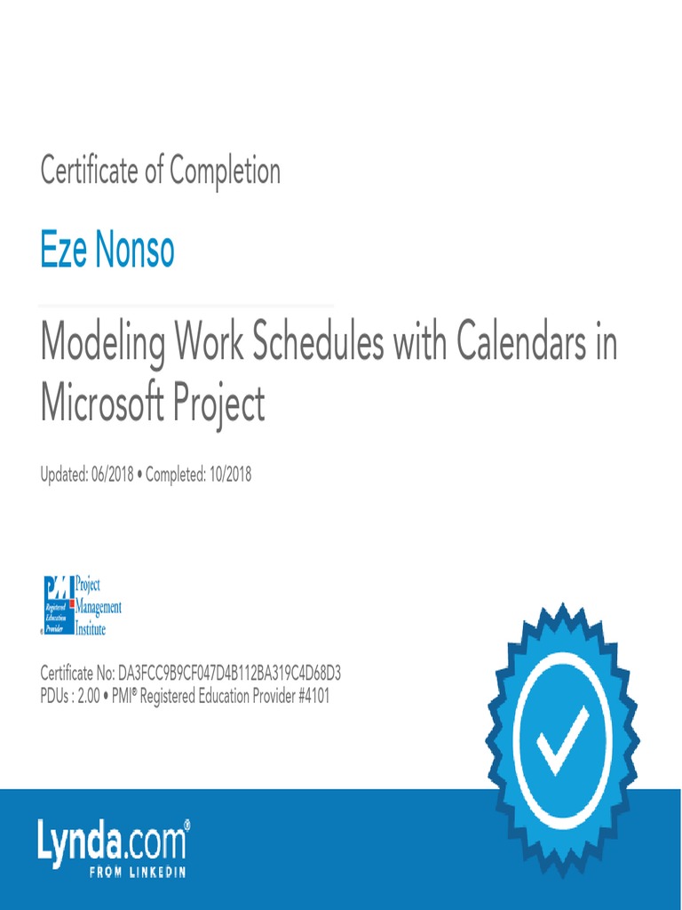 Eze Nonso: Modeling Work Schedules With Calendars in Microsoft Project | PDF | Business