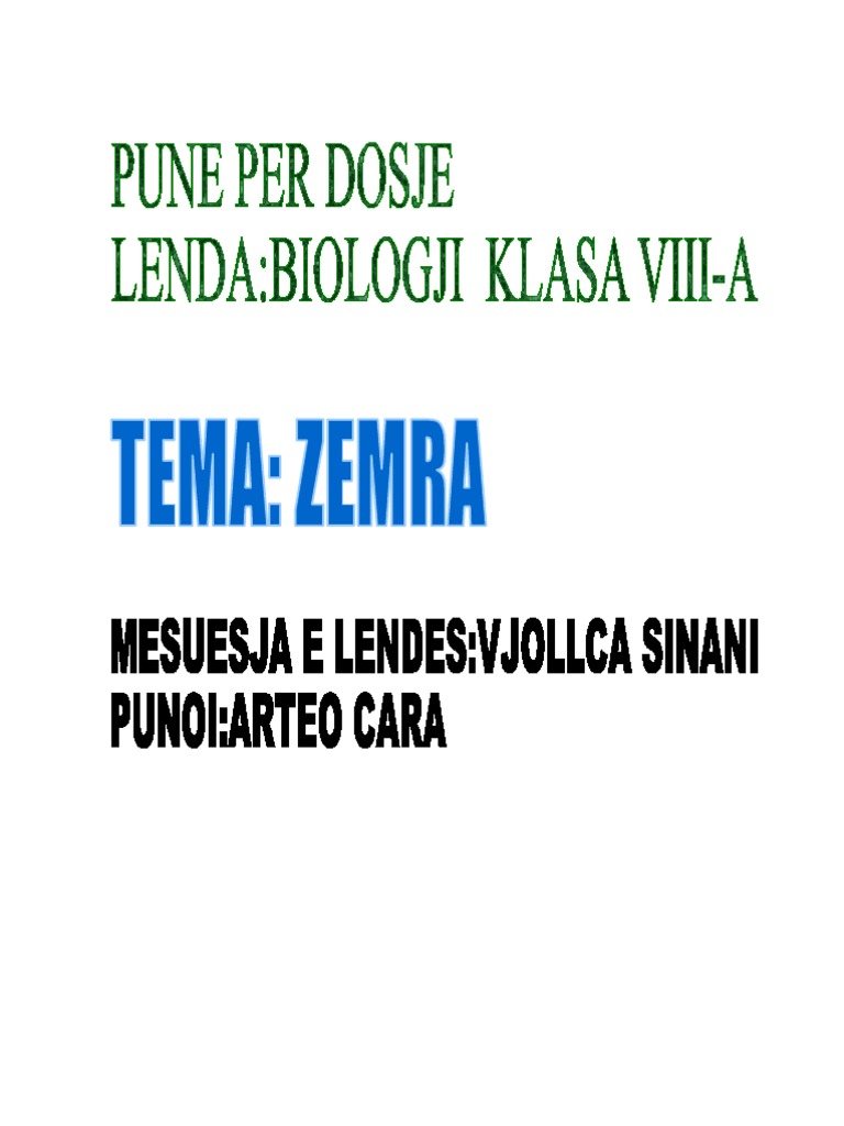 Zemra | PDF