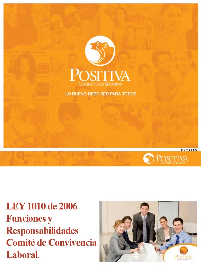 Funciones y Responsabilidades CCL | PDF