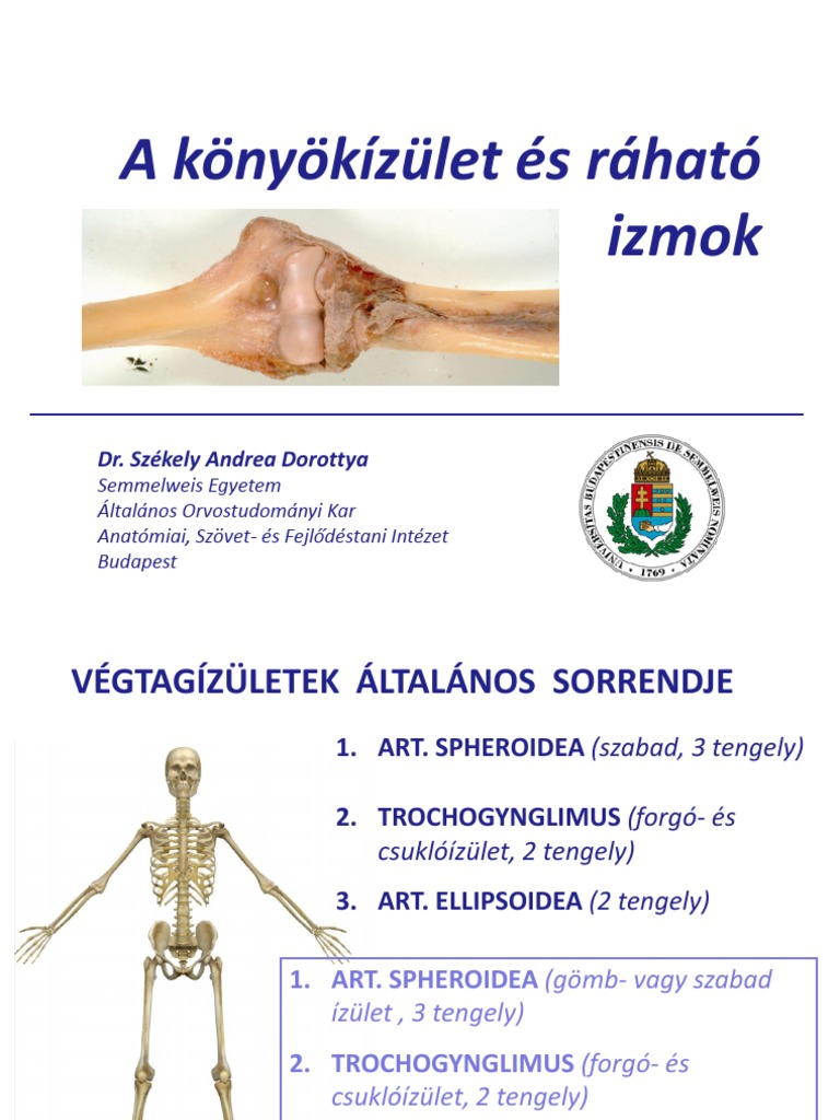 Art Cubiti | PDF