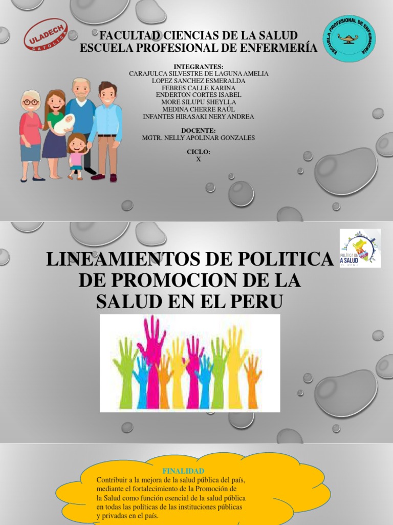 Lineamientos de Politica de Promocion de La Salud en El Peru - Familia y Comunitaria | PDF ...