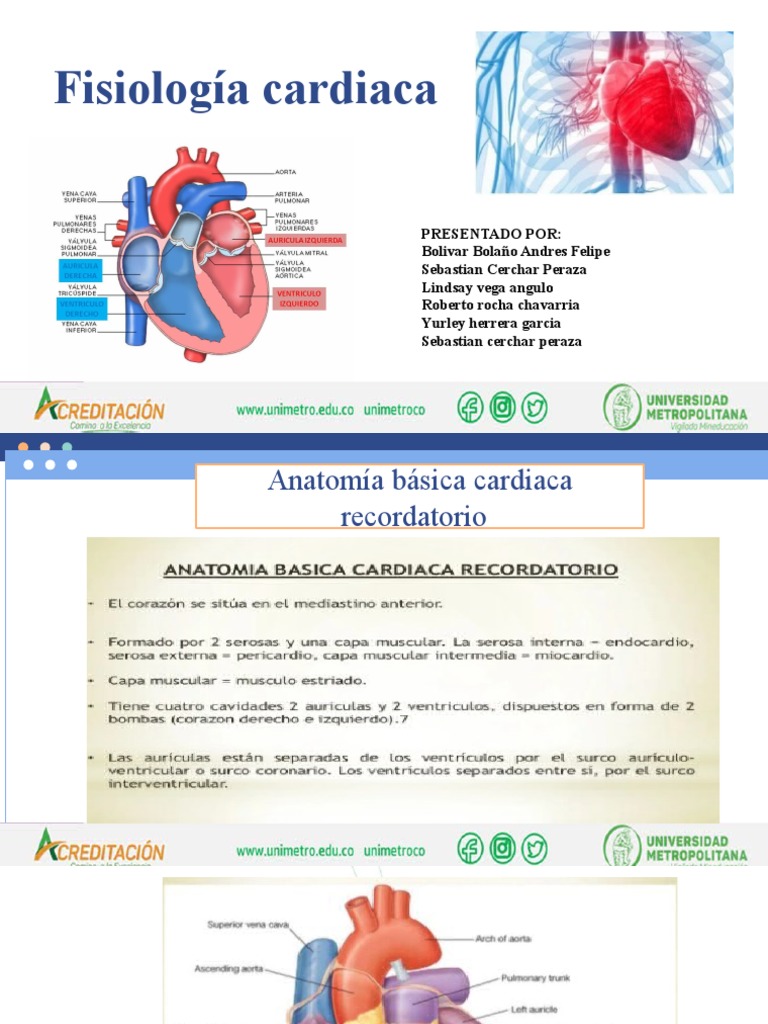 Fisiologia Cardiaca | PDF
