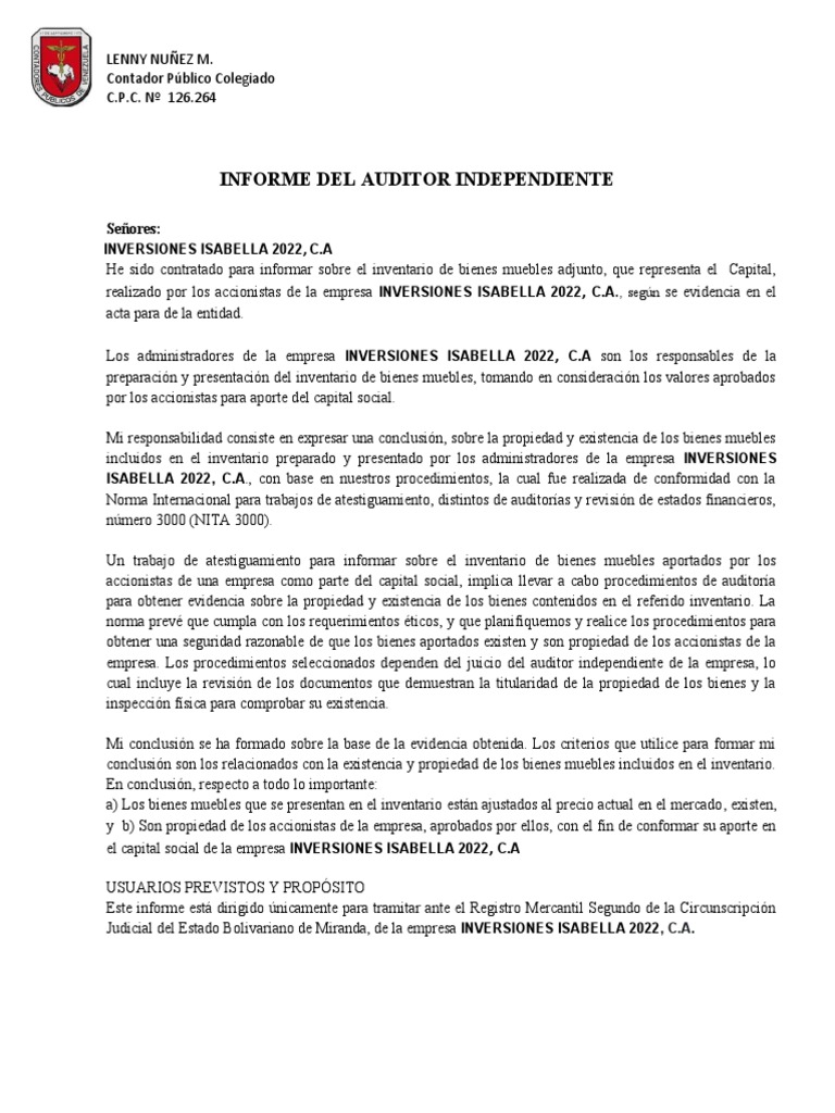 Informe Del Auditor Independiente Inventario Lennys | PDF | Business | Auditoría